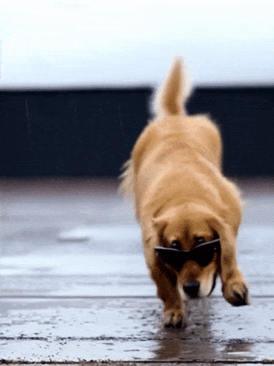 Cog Video X 5B Serverless API